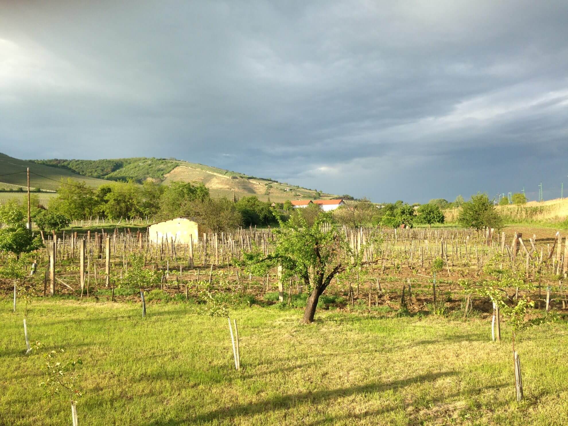 Voyages de presse - AFJA